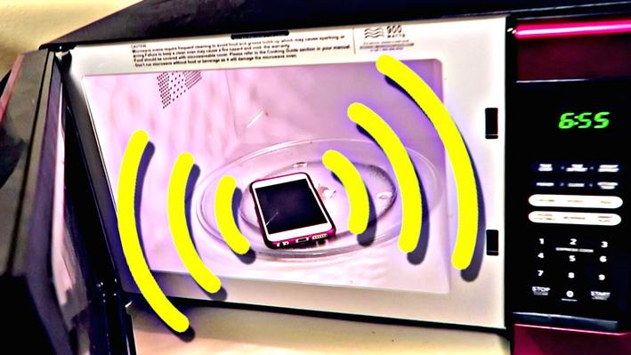 Can You Call A Cell Phone In The Microwave Physics Girl Science Video PBS LearningMedia can-you-call-a-cell-phone-in-the-microwave-physics-girl-science-video-pbs-learningmedia