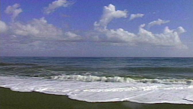 The Effects of the Columbian Exchange | PBS LearningMedia