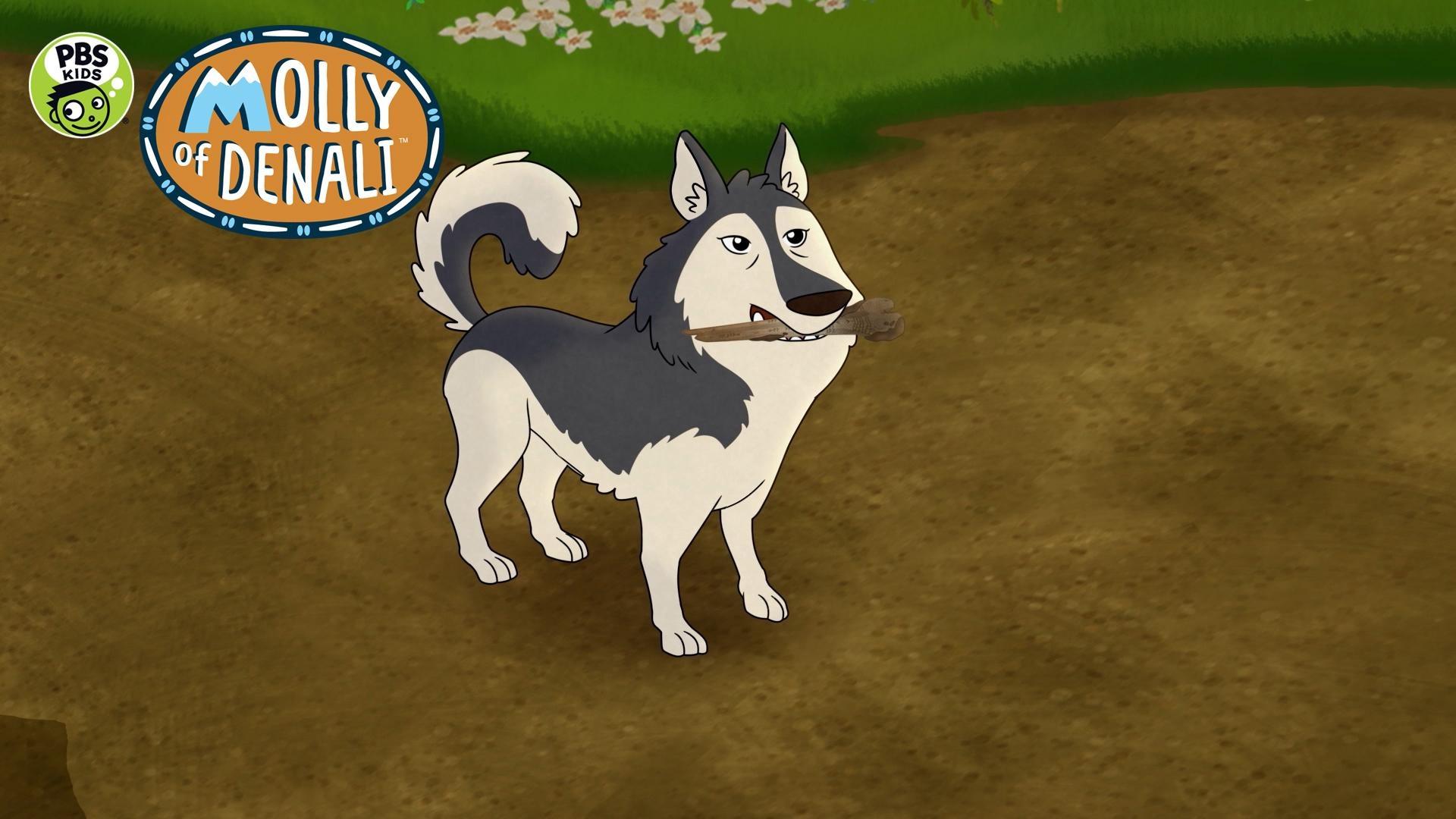 Suki’s Bone | MOLLY OF DENALI® | PBS LearningMedia