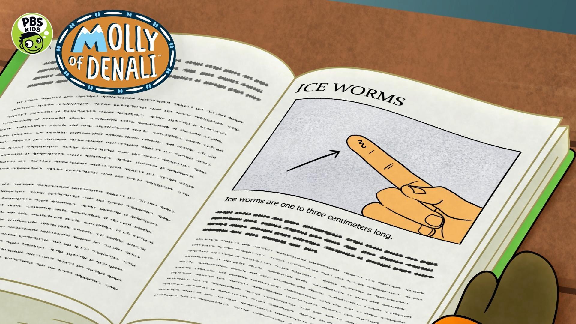 The Worm Turns | MOLLY OF DENALI® | PBS LearningMedia