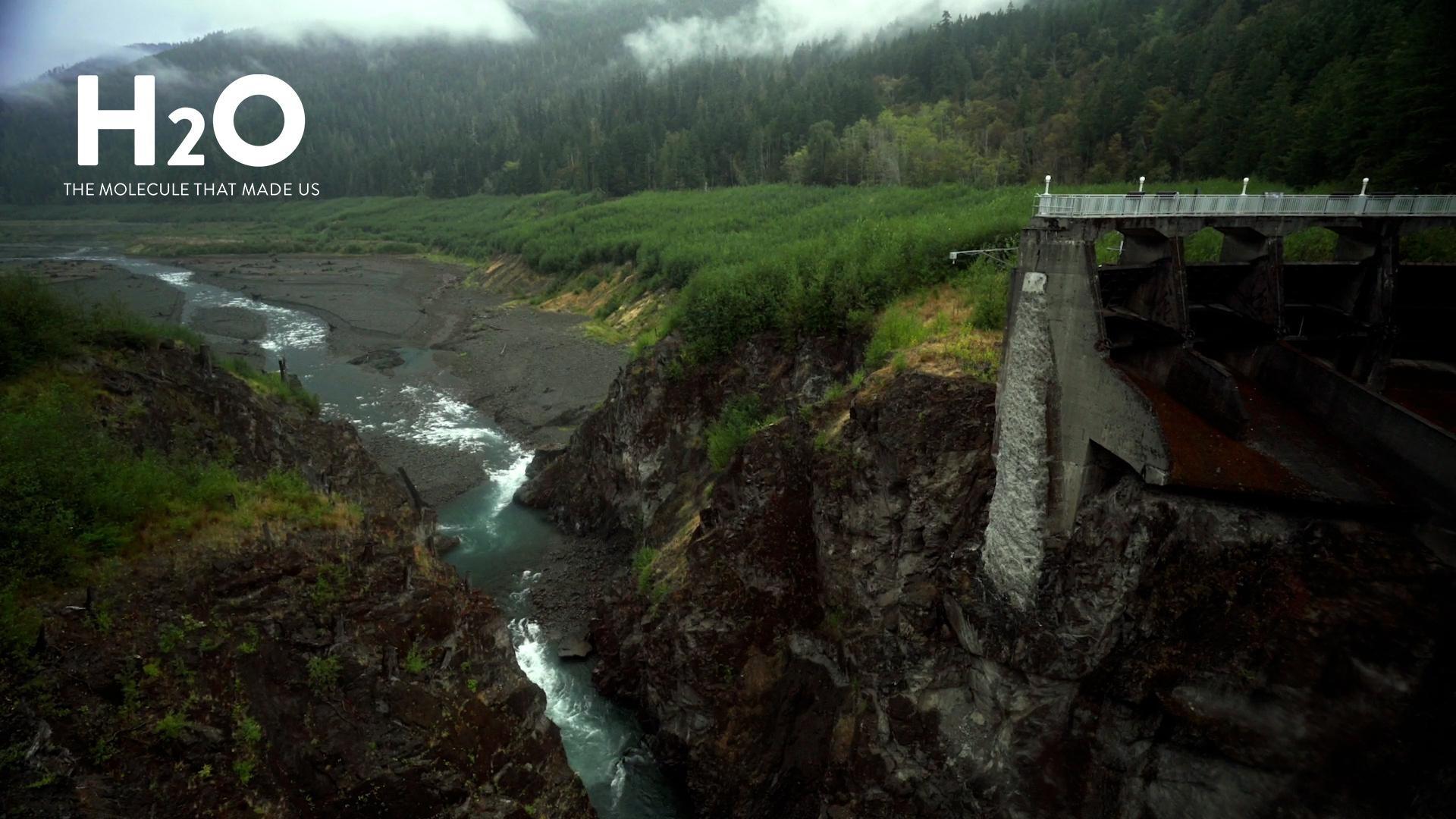 Recovery in the Elwha River Ecosystem | H2O: The Molecule That Made Us ...