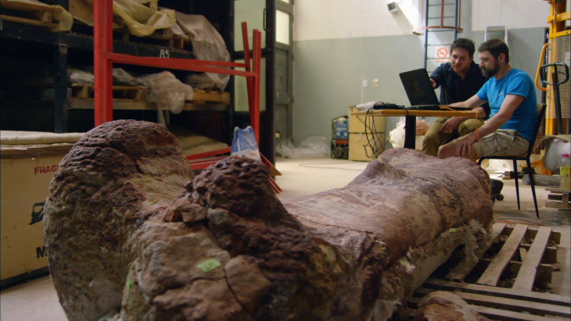 Studying Adaptations for Walking in Dinosaurs | PBS LearningMedia