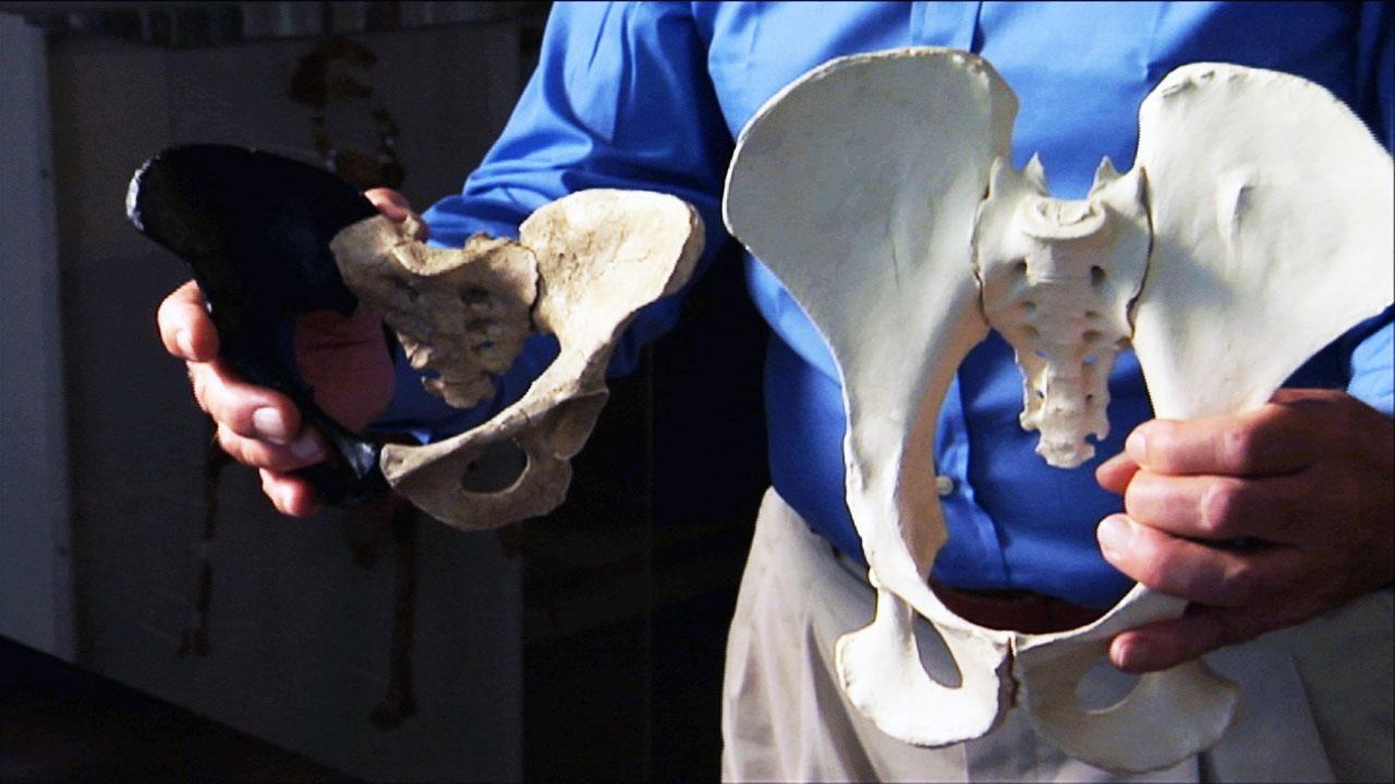 NOVA: Becoming Human | Fossil Evidence of Bipedalism | PBS LearningMedia