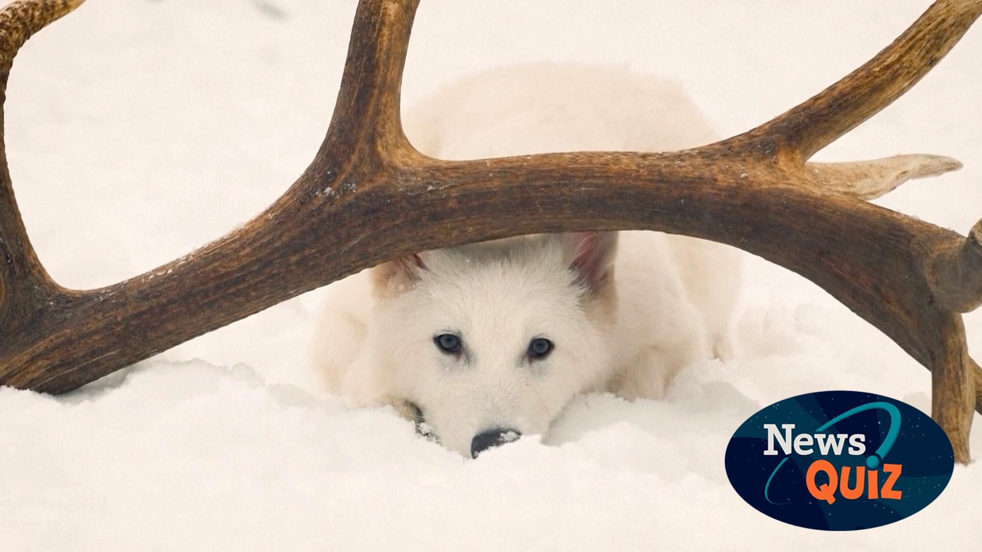 April 17, 2025 | News Quiz | PBS LearningMedia