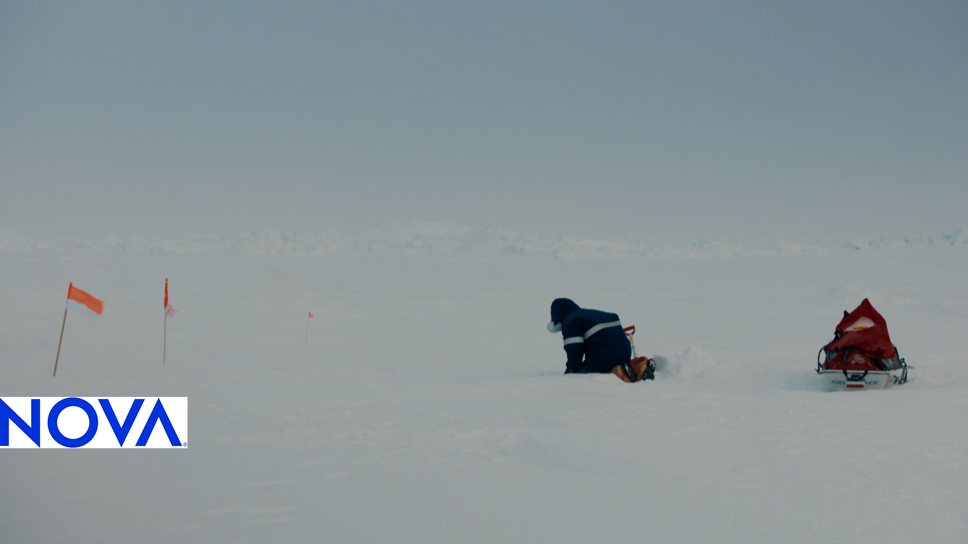 Studying Snow and Ice in the Arctic | Arctic Drift | PBS LearningMedia