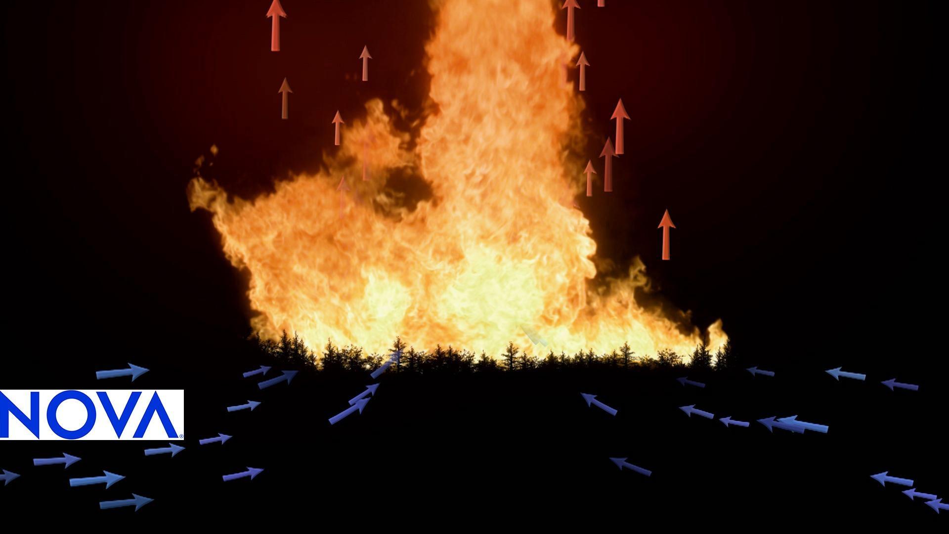 The Physics of Large Wildfires | Inside the Megafire | PBS LearningMedia