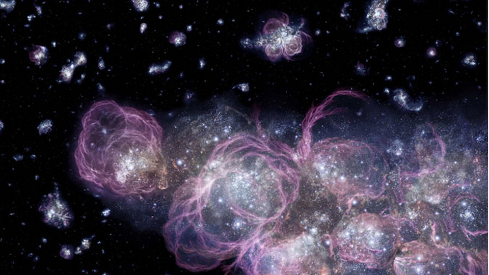 The Star In You | PBS LearningMedia