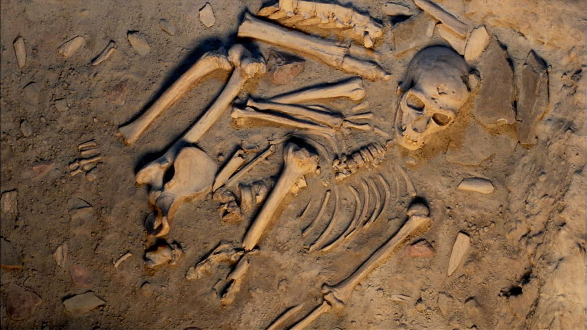 Investigating Neanderthals | NOVA scienceNOW | PBS LearningMedia