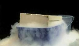 Ice Bomb | PBS LearningMedia