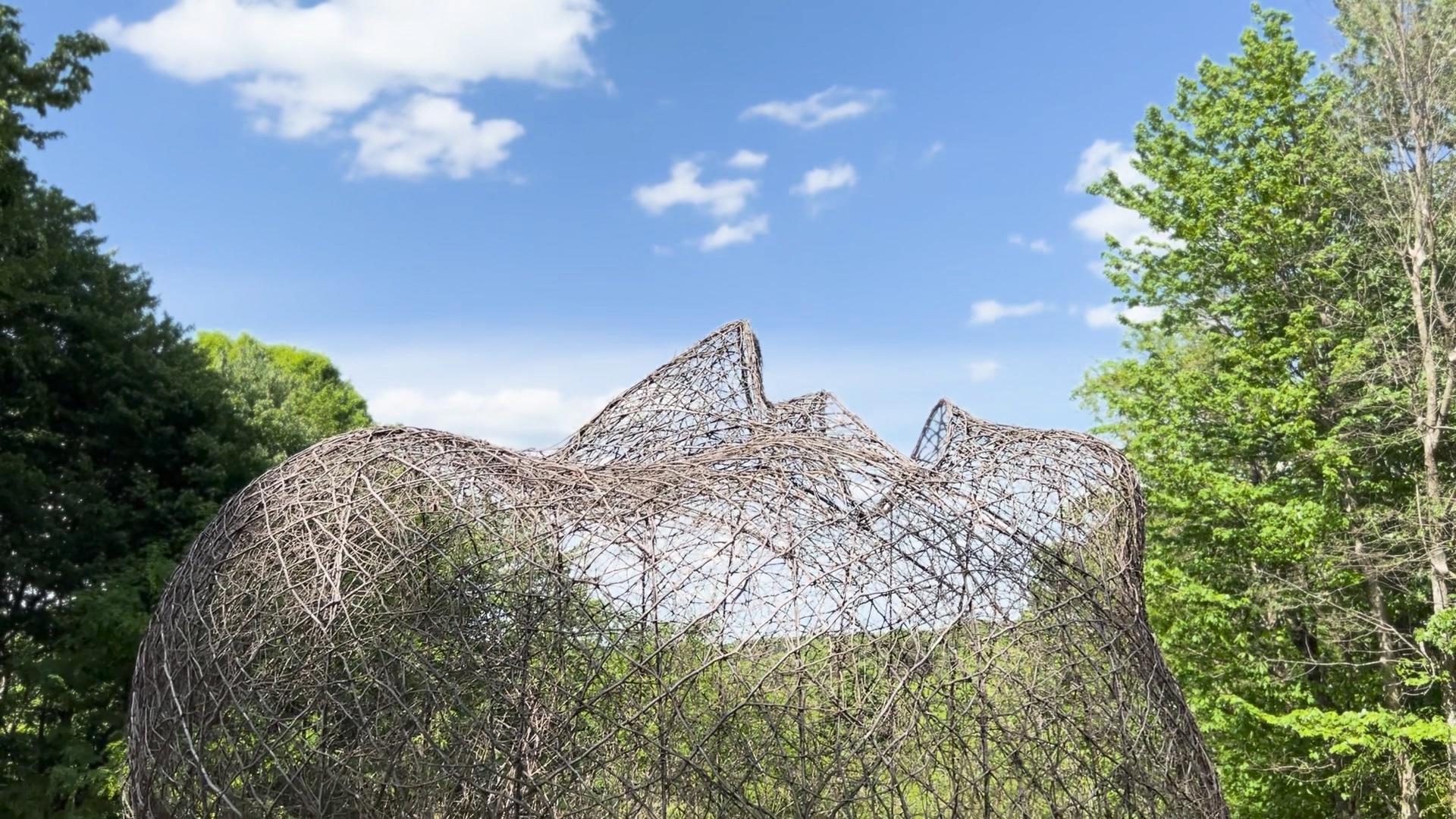 Oxygen: Connecting Respiration to the Forest | Outdoor Art | PBS ...