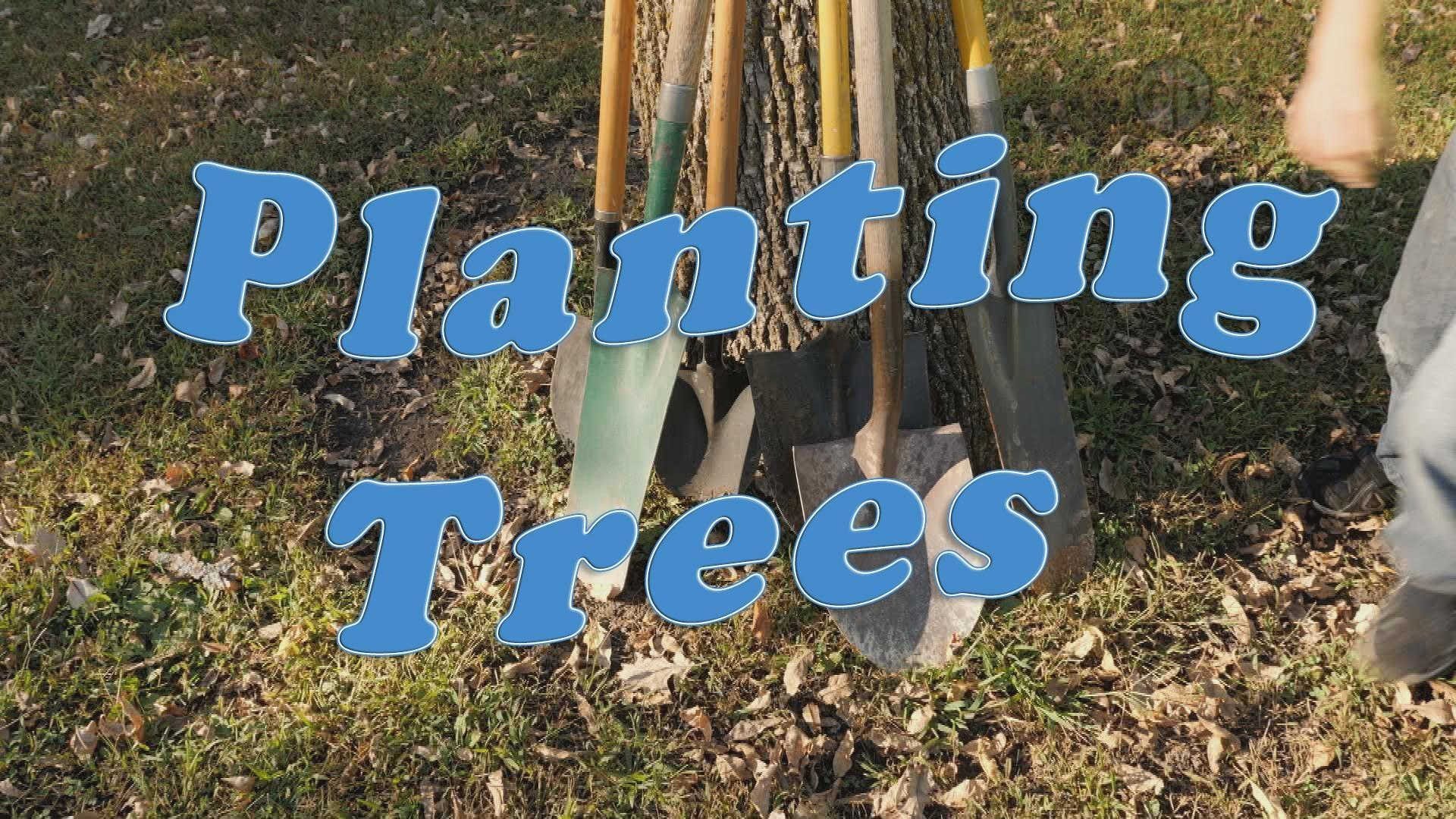 Get Up and Go Play: Planting Trees | Young Explorers | PBS LearningMedia