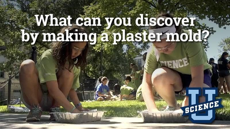 Can You Make a Plaster Cast like a Crime Scene Investigator? | Science ...