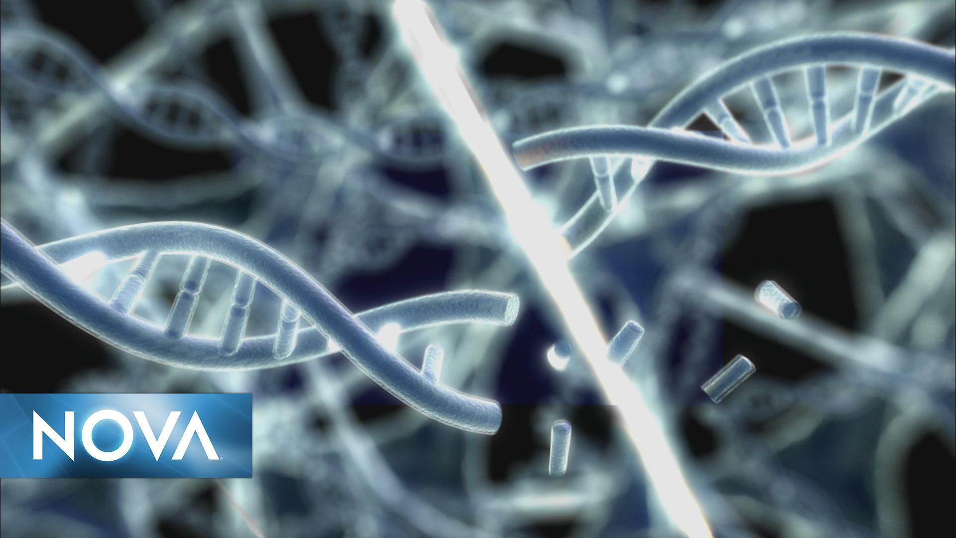 Building Chernobyl’s MegaTomb | Protecting Workers from Gamma Radiation ...