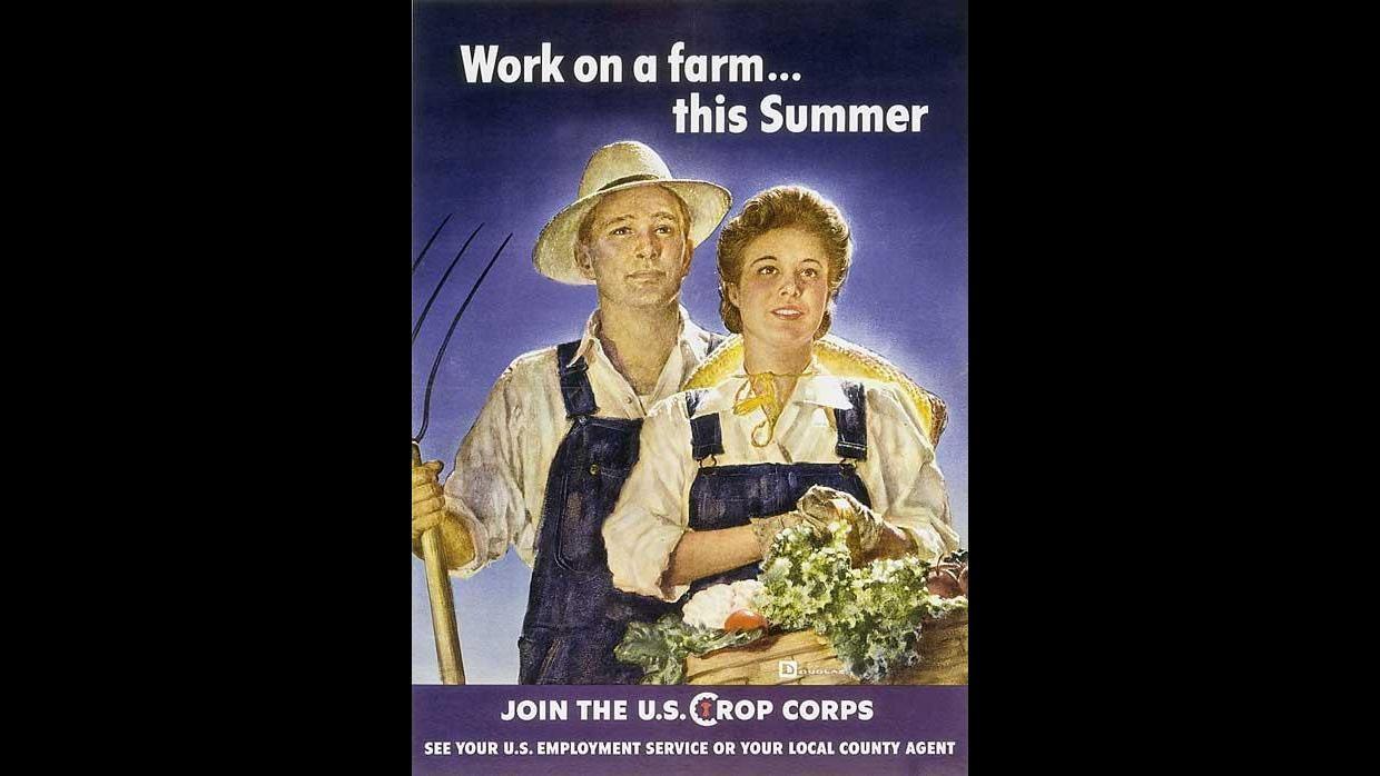 Propaganda Poster: Work on a Farm…This Summer, 1943 | PBS LearningMedia