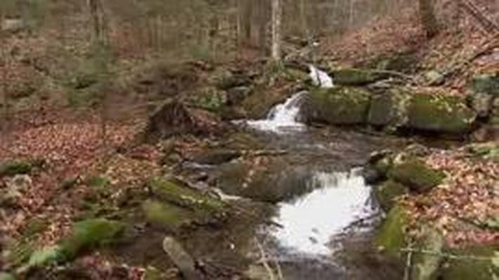 Liquid Assets: Watershed Lesson Plan | Social Studies, Science | Lesson ...