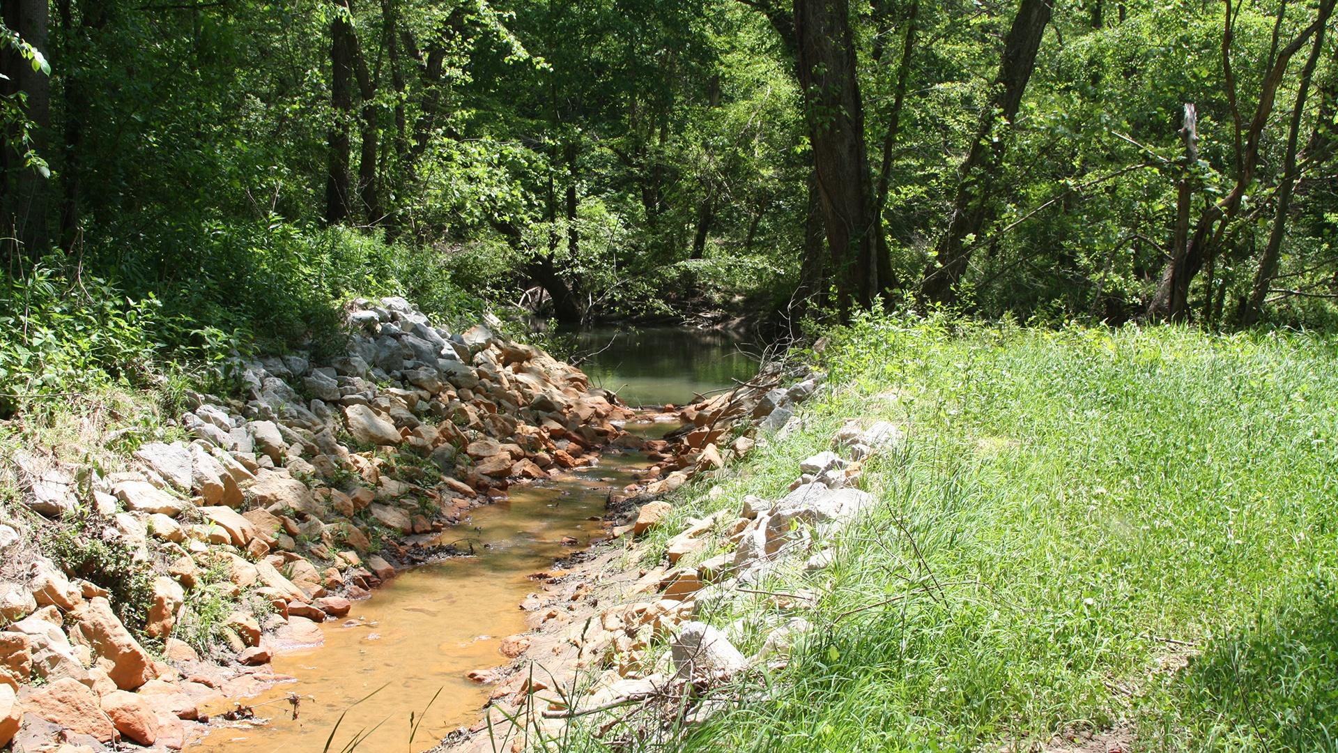 Results of Acid Mine Drainage Remediation | PBS LearningMedia