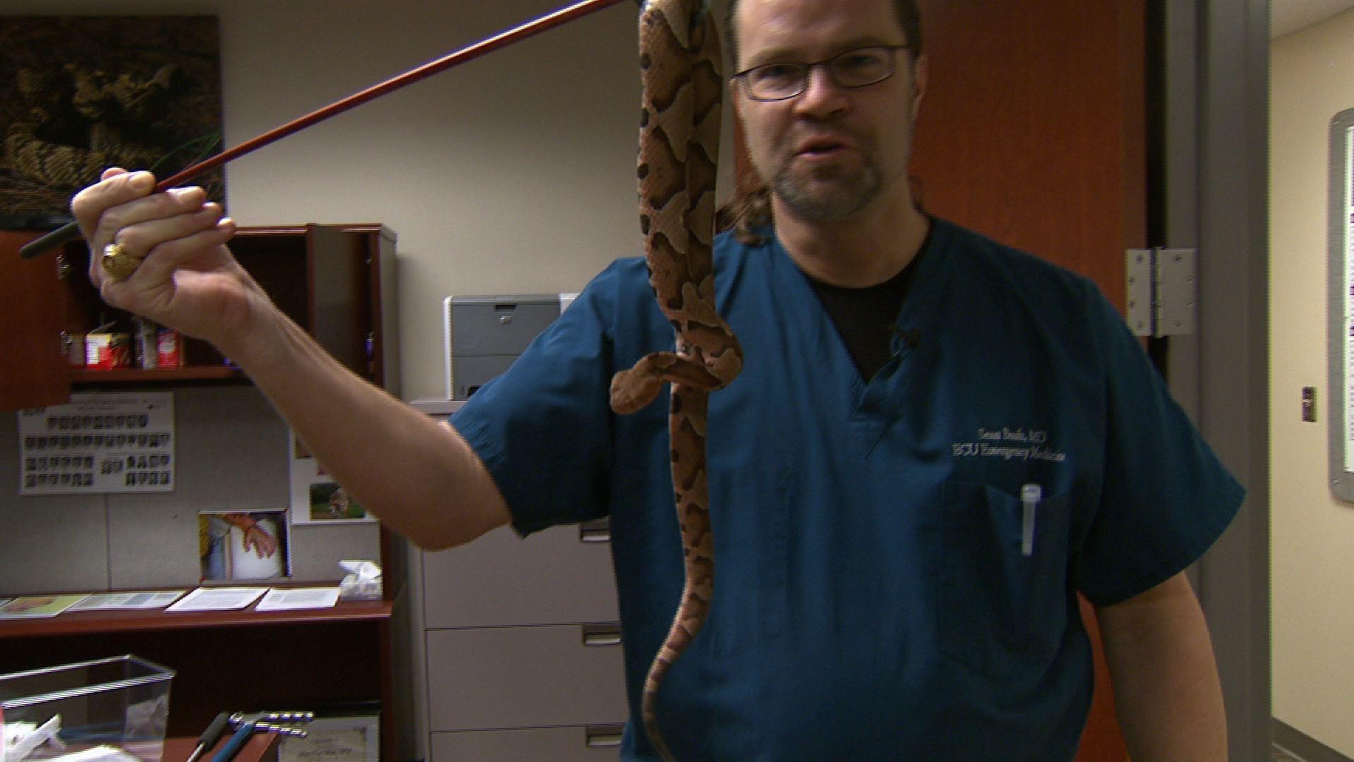 Snakebite Antidote | PBS LearningMedia