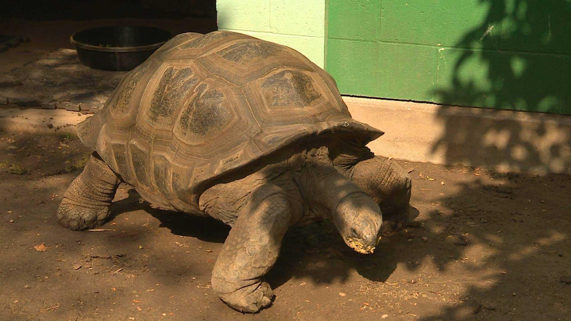 Zoology | Science Trek | PBS LearningMedia