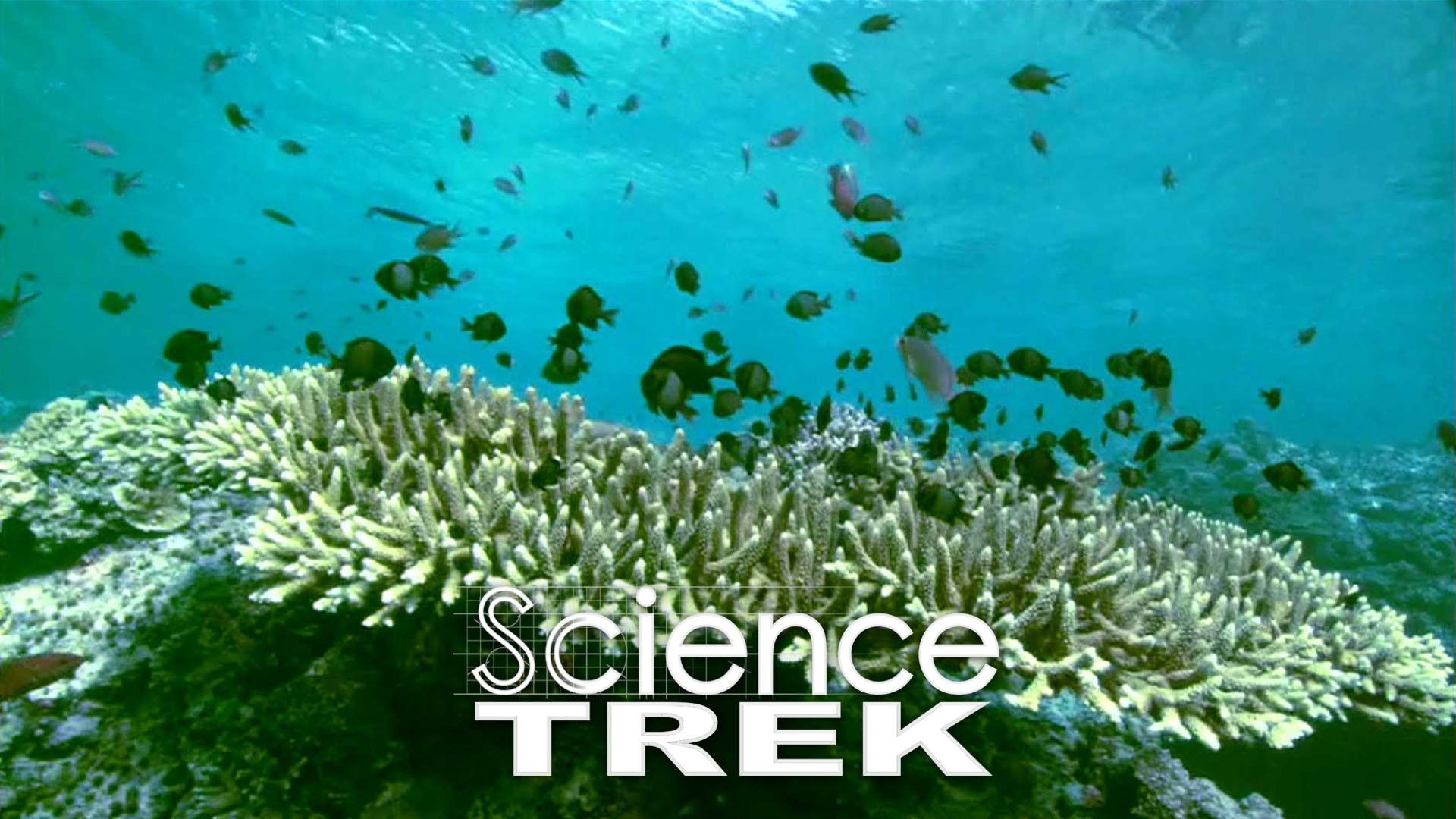 Oceans | Science Trek | PBS LearningMedia - CubeForTeachers - Cube For ...