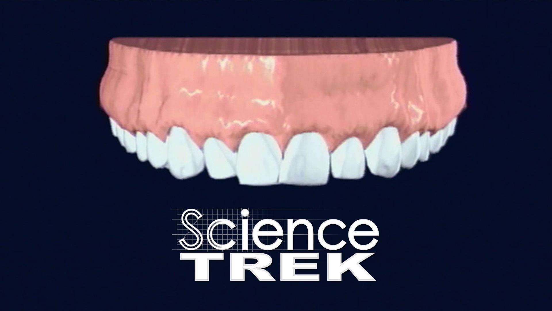 Teeth: Chew On It! | Science Trek | PBS LearningMedia