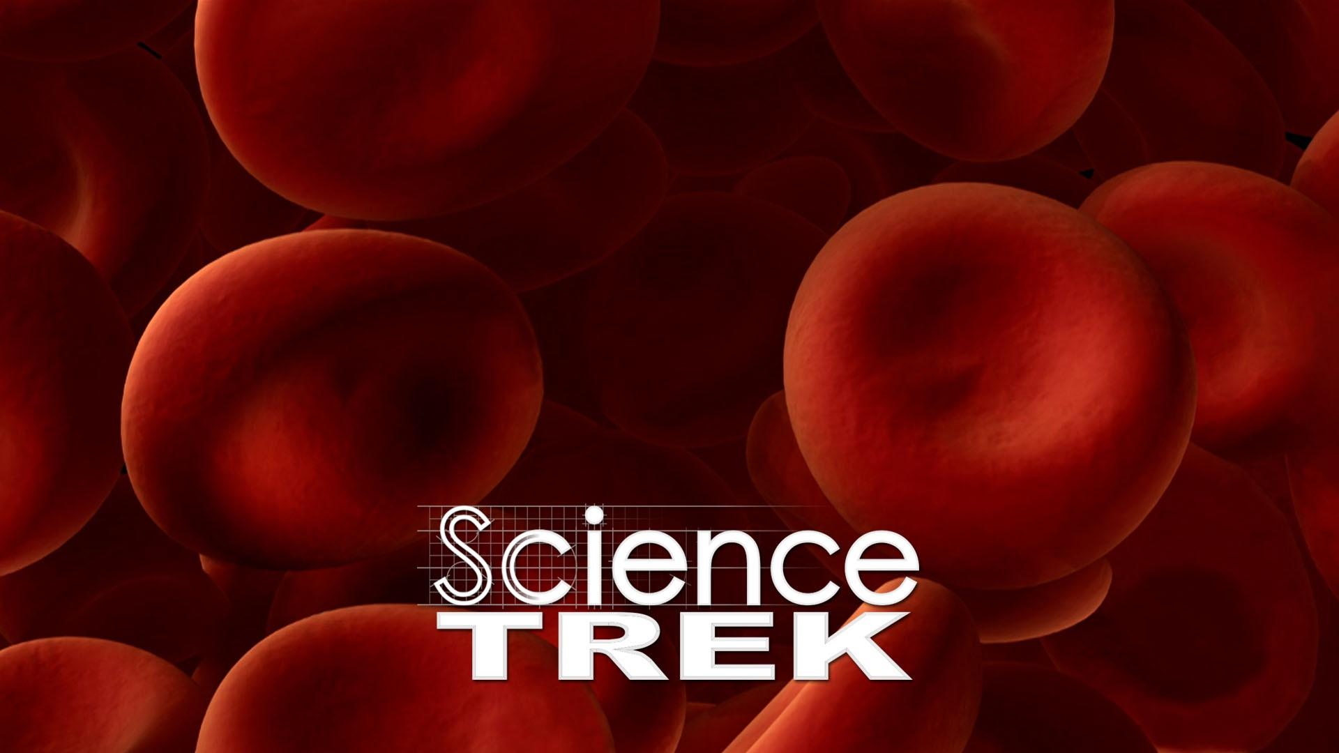 Blood | Science Trek | PBS LearningMedia