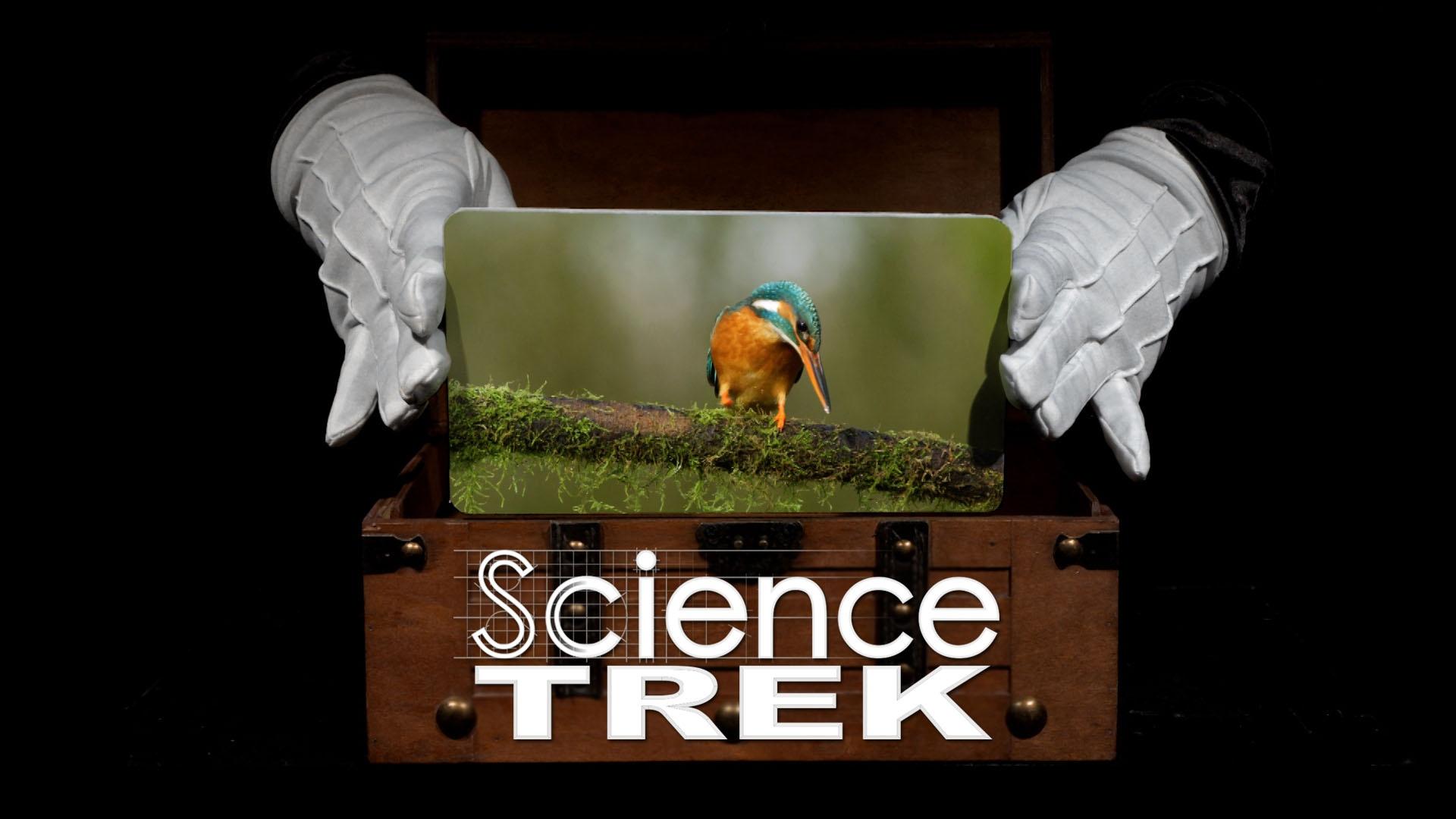 Biomimicry | Science Trek | PBS LearningMedia