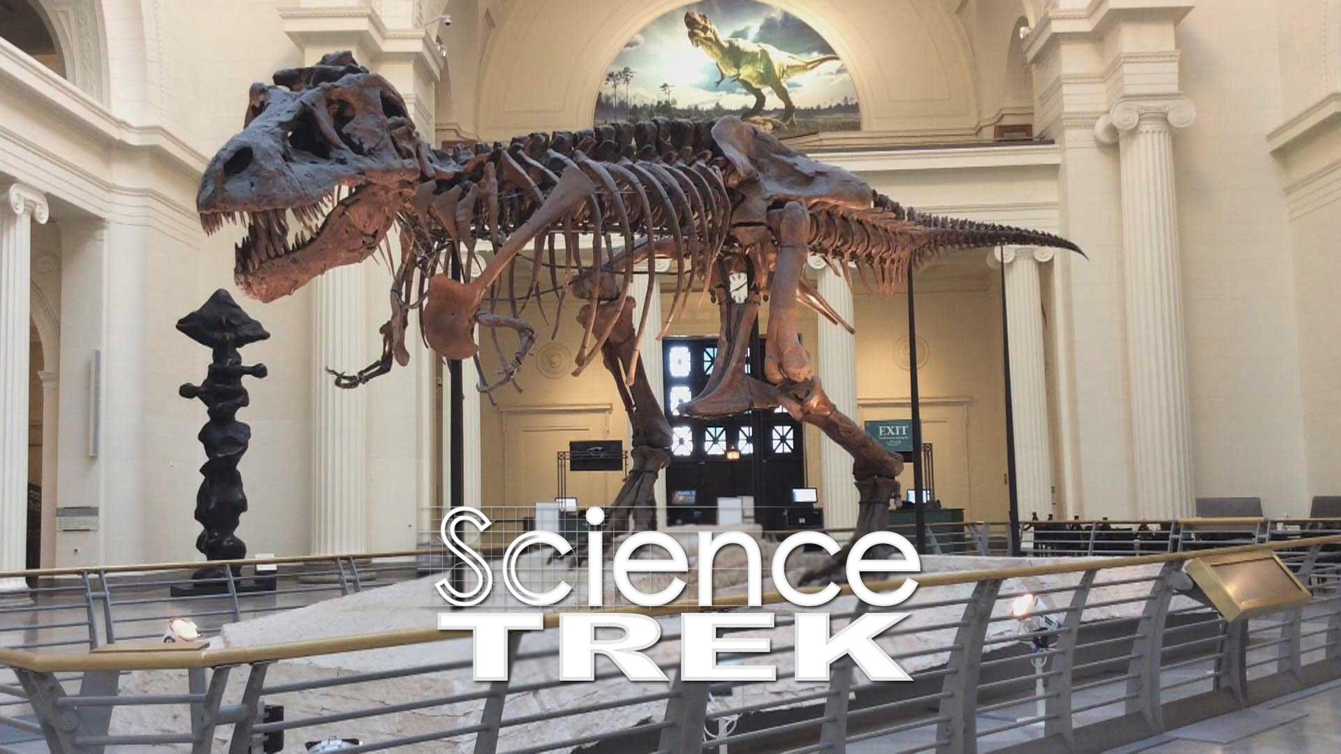Dinosaurs | Science Trek | PBS LearningMedia
