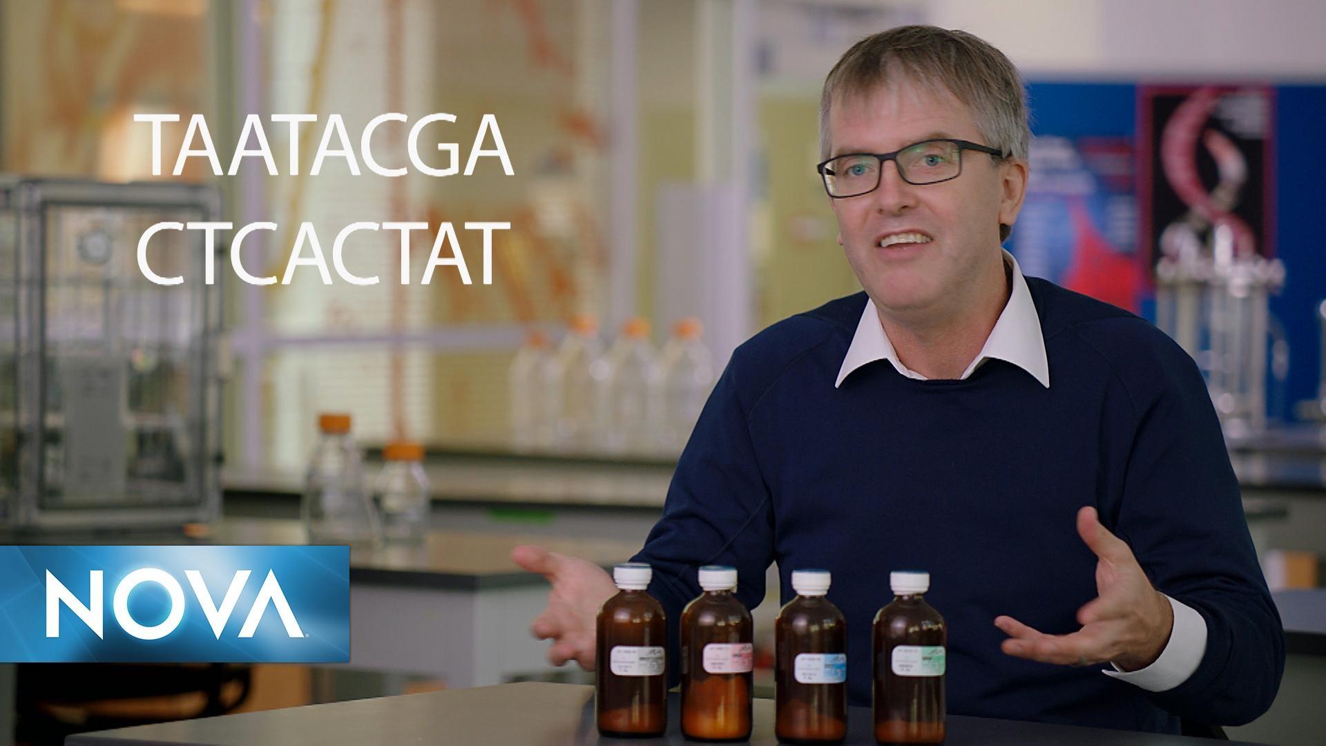 Building and Modifying DNA | NOVA Wonders: Can We Make Life? | NOVA ...