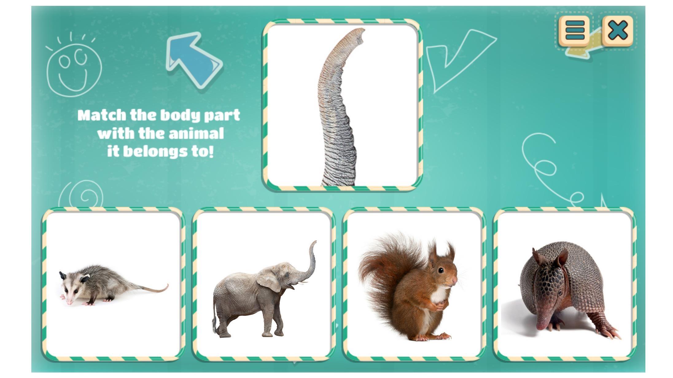 A Tail Like This | Interactive | Everyday Learning | PBS LearningMedia
