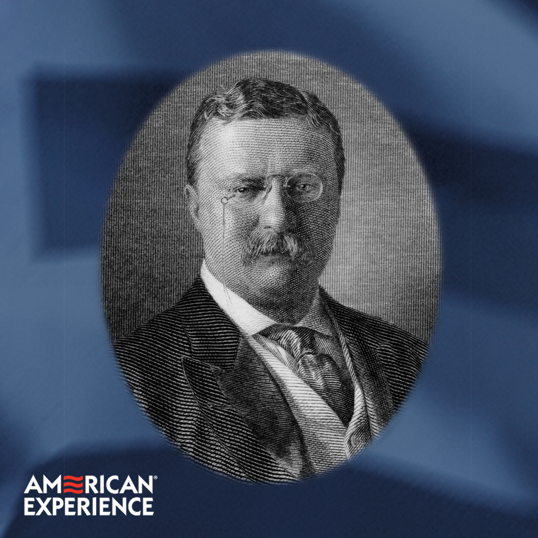 The Presidents - Primary Source: TR's Report to the Secretary of War ...