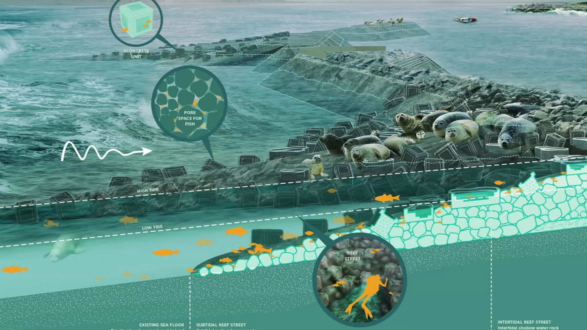 Environmental Engineering: Shoreline Protection That Restores Aquatic ...