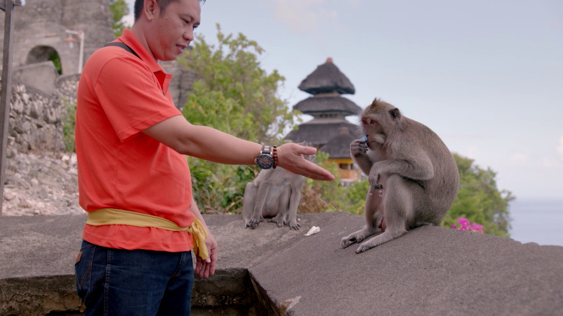 Living Alongside Humans | Primates: Episode 1 - "Secrets of Survival ...