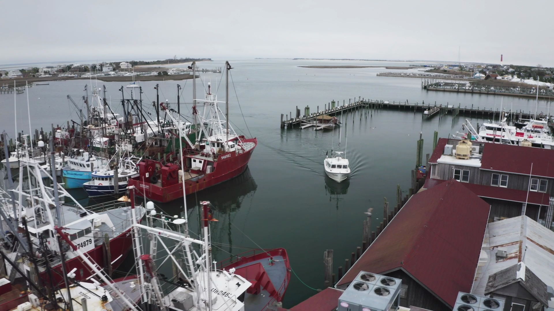 A Green Economy from Blue Foods | Hope in the Water | PBS LearningMedia