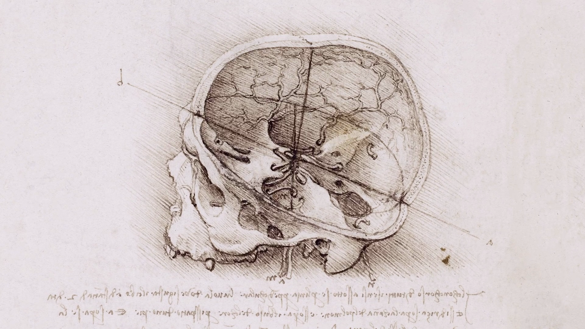 The Artist Leading Scientific Discovery | Leonardo da Vinci | PBS ...