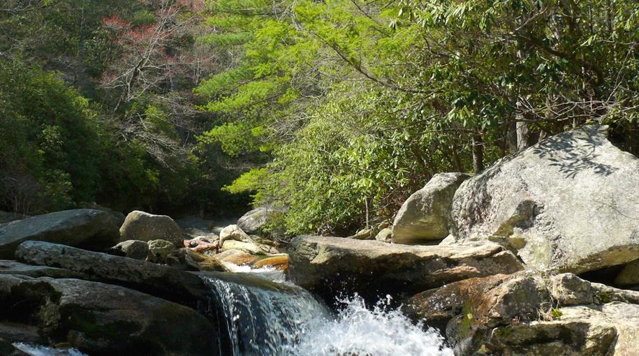 We All Live Downstream | PBS LearningMedia