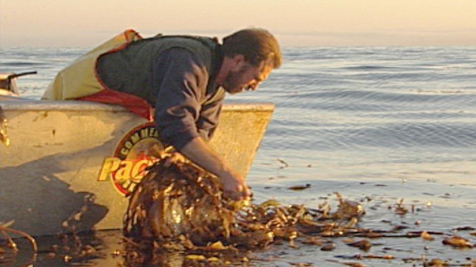 Marine Technology: Training & Careers | PBS LearningMedia