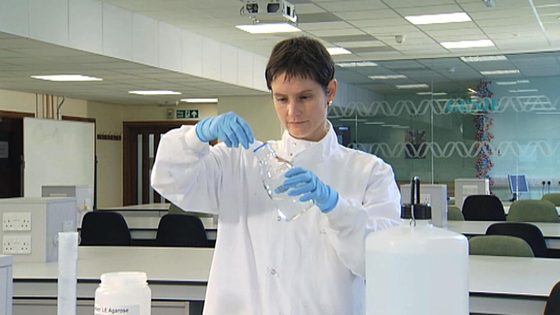 Making an Agarose Gel | PBS LearningMedia