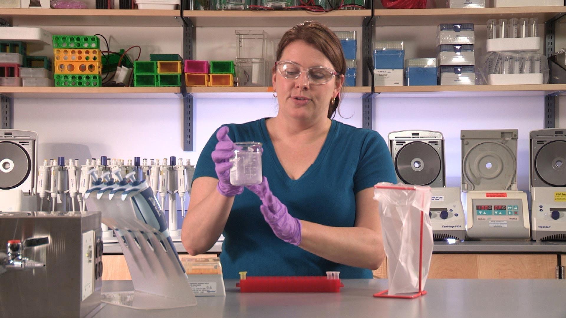 Transforming Competent Cells | PBS LearningMedia