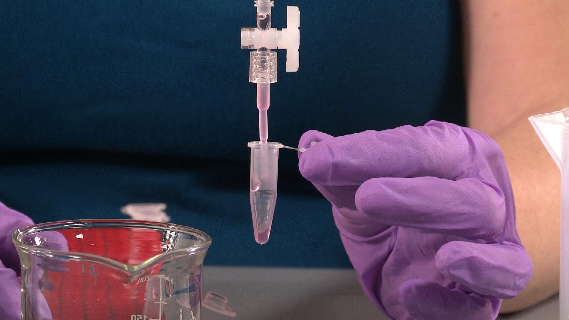 Biotechnology: Eluting Red Fluorescent Protein from the Column | PBS ...