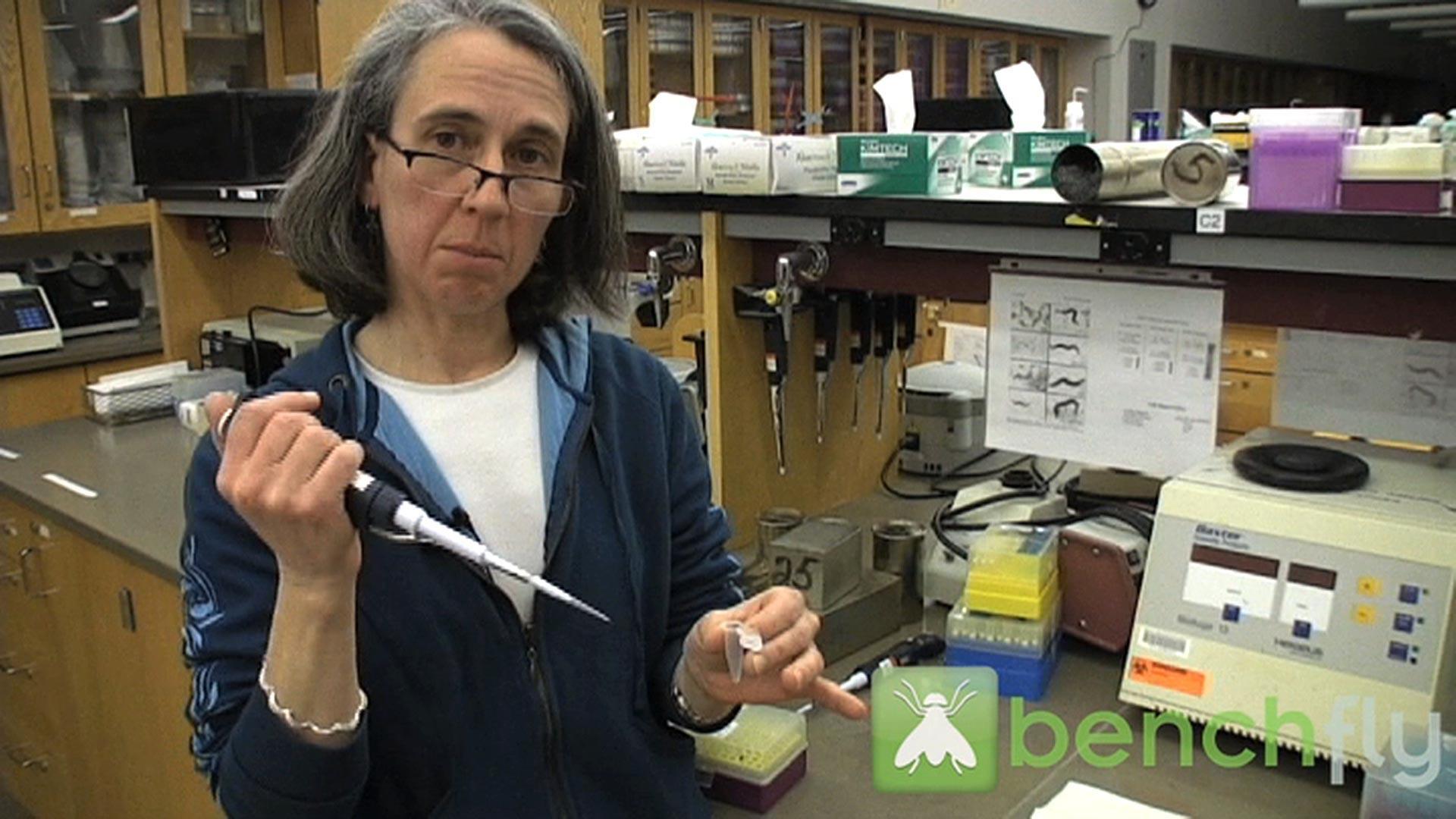 Working with Small Volumes | PBS LearningMedia