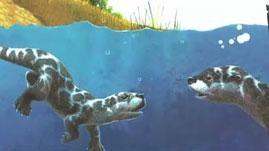 Deep in the Swamp | Grades PreK-K, K-2 English Language Arts and ...