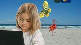 Surfin' the Web | PBS LearningMedia