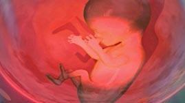 Chemical Risks to a Fetus | PBS LearningMedia