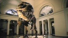 T. Rex Blood | NOVA scienceNOW | PBS LearningMedia