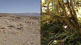 Teri and Jairus: Biome Buddies | PBS LearningMedia