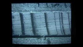 Taking the Earth's Temperature | PBS LearningMedia