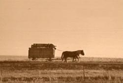 Pap Singleton: To Kansas! | The Rise and Fall of Jim Crow | PBS ...