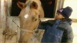 City Horses Part II | PBS LearningMedia