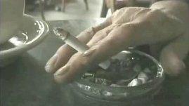 The Smoking Section | PBS LearningMedia