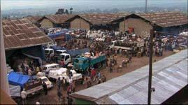 Next Steps | Wide Angle | PBS LearningMedia